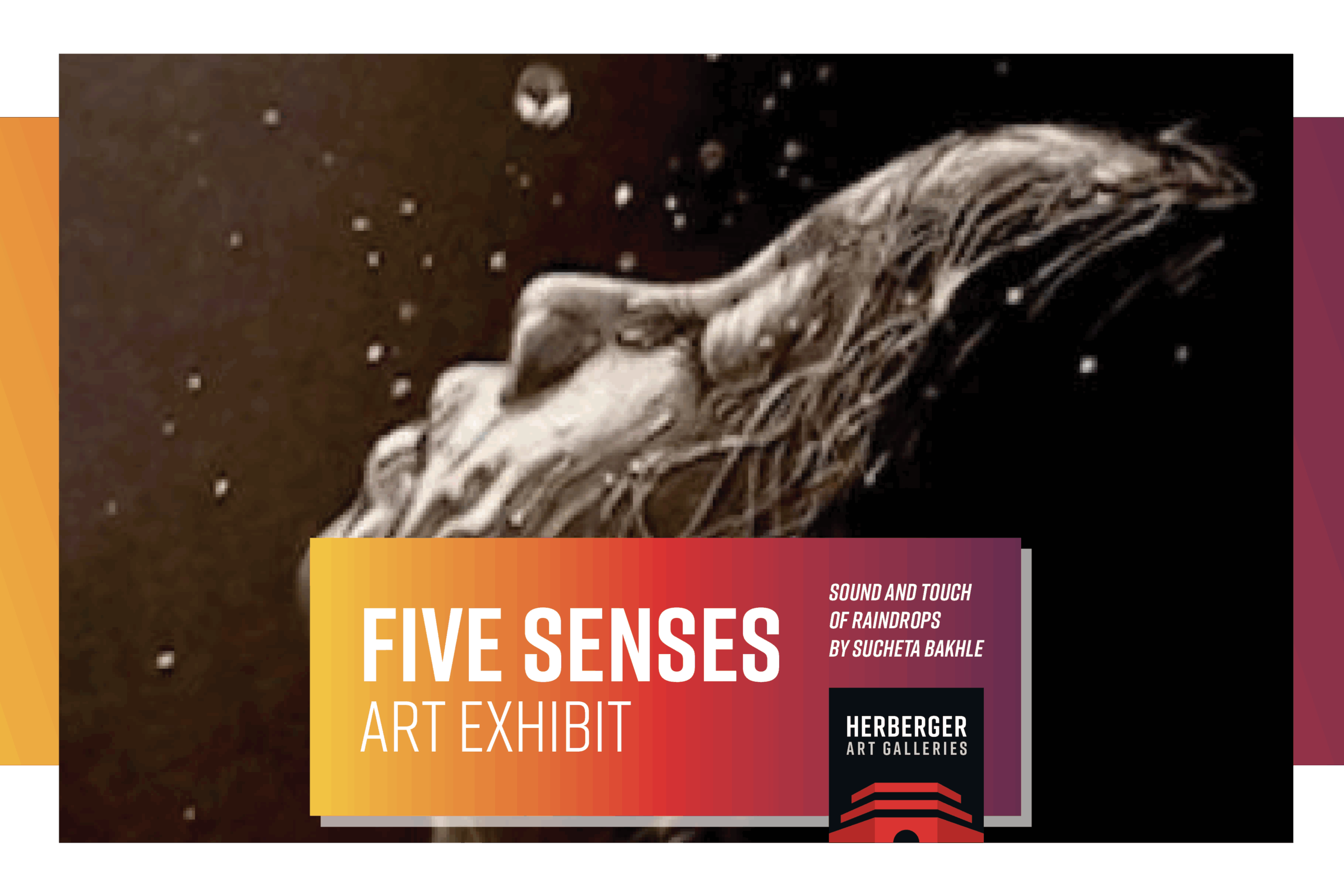 Five Senses Exhibit - Herberger Theater Center